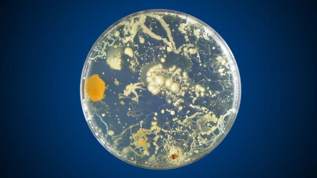 Resources – JPIAMR