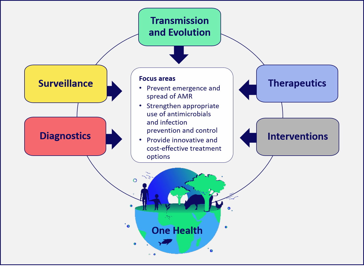 European partnership on One Health Antimicrobial Resistance – JPIAMR